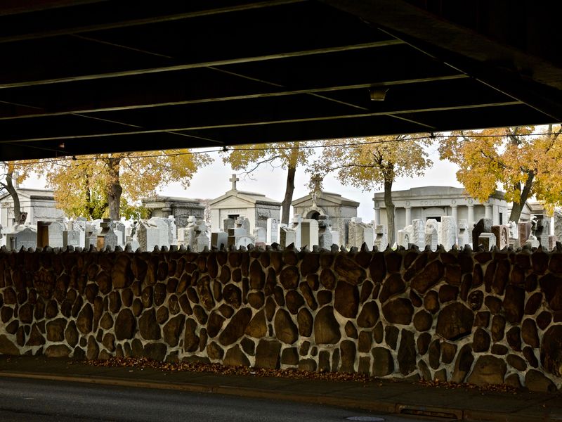 Calvary Cemetery, Woodside, Queens | Smithsonian Photo Contest ...