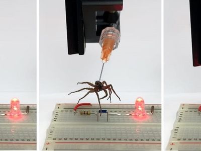 History, Travel, Arts, Science, People, Places Smithsonian Magazine