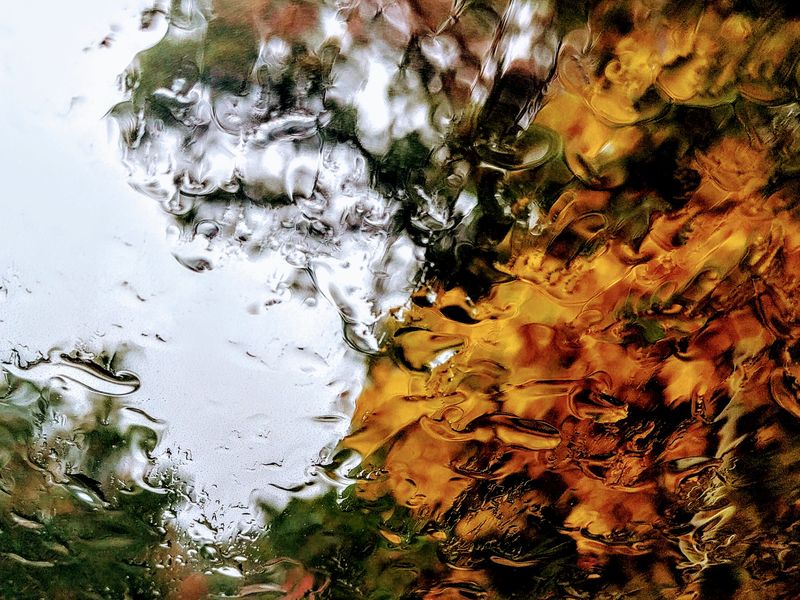Through the eyes of a rain drop | Smithsonian Photo Contest ...