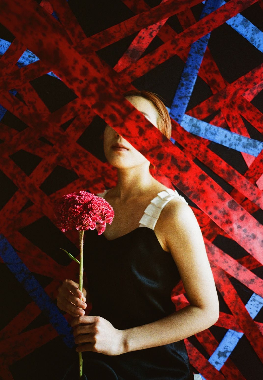 Ornament | Smithsonian Photo Contest | Smithsonian Magazine