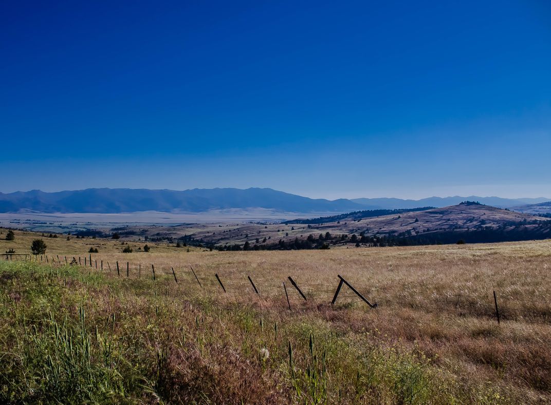 Peaceful Prairie | Smithsonian Photo Contest | Smithsonian Magazine