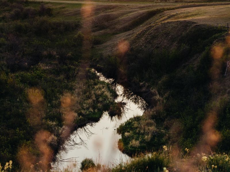 Everywhere the sunlight touches | Smithsonian Photo Contest ...