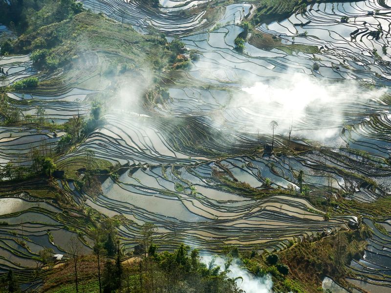 Terraced rice fields of Yuanyang county, China | Smithsonian Photo ...