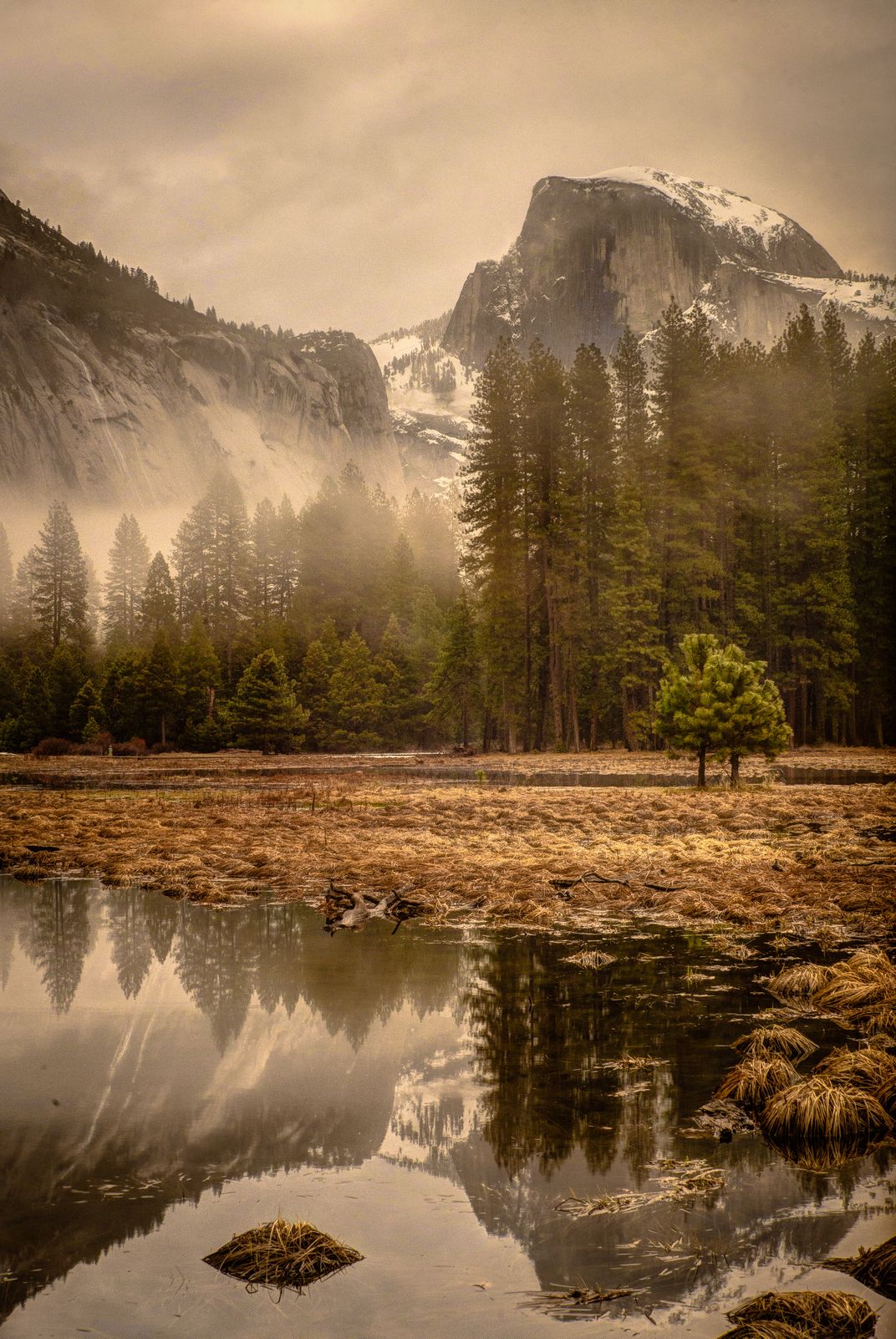 Cook's Meadow Reflection. | Smithsonian Photo Contest | Smithsonian ...