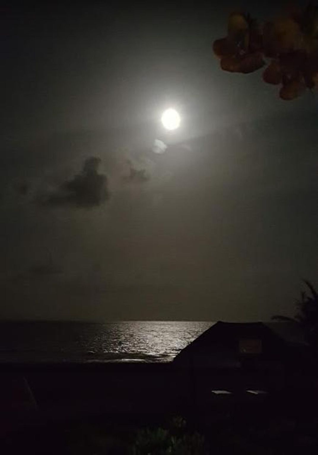 Midnight Moonlight | Smithsonian Photo Contest | Smithsonian Magazine