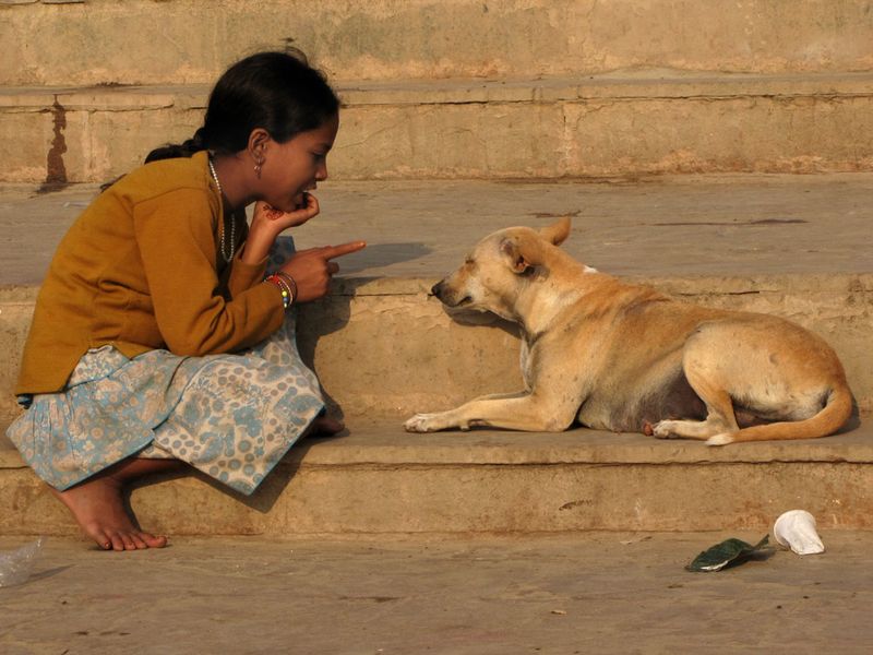this photo depicts the real friendship between man & animal ...