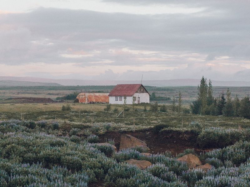 Quaint Icelandic farm | Smithsonian Photo Contest | Smithsonian Magazine