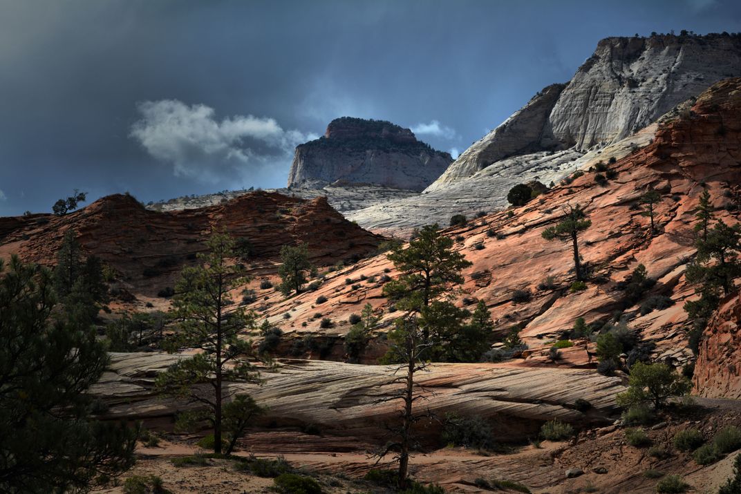 Zion Skyin | Smithsonian Photo Contest | Smithsonian Magazine