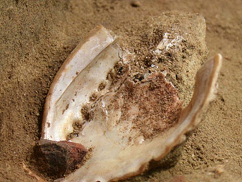 Blombos Cave Findings 100,000 Year Old Incised Ochre Found At Blombos