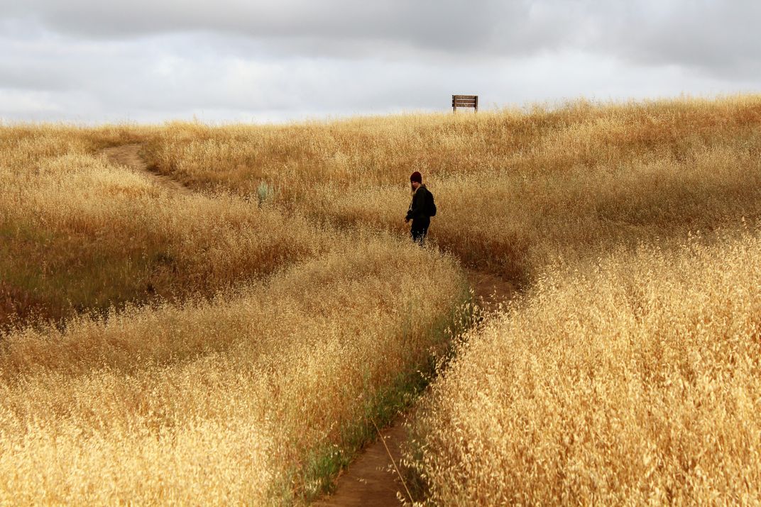 Hiking through a field | Smithsonian Photo Contest | Smithsonian Magazine