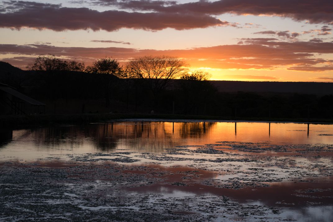 Sunday Sunset | Smithsonian Photo Contest | Smithsonian Magazine