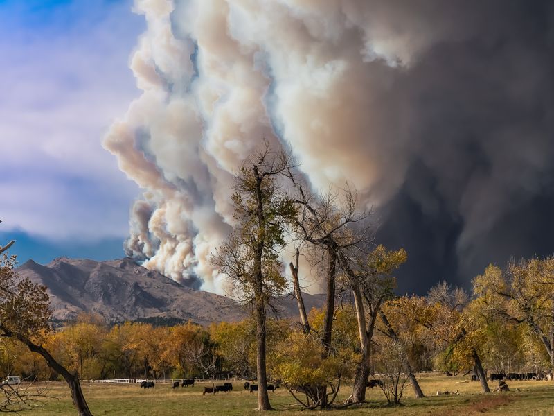 Fire Plume and Calwood Fire | Smithsonian Photo Contest | Smithsonian ...
